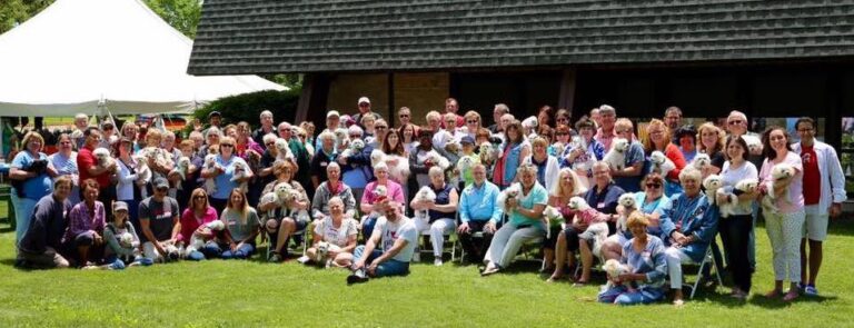 North Central Maltese Rescue | Home